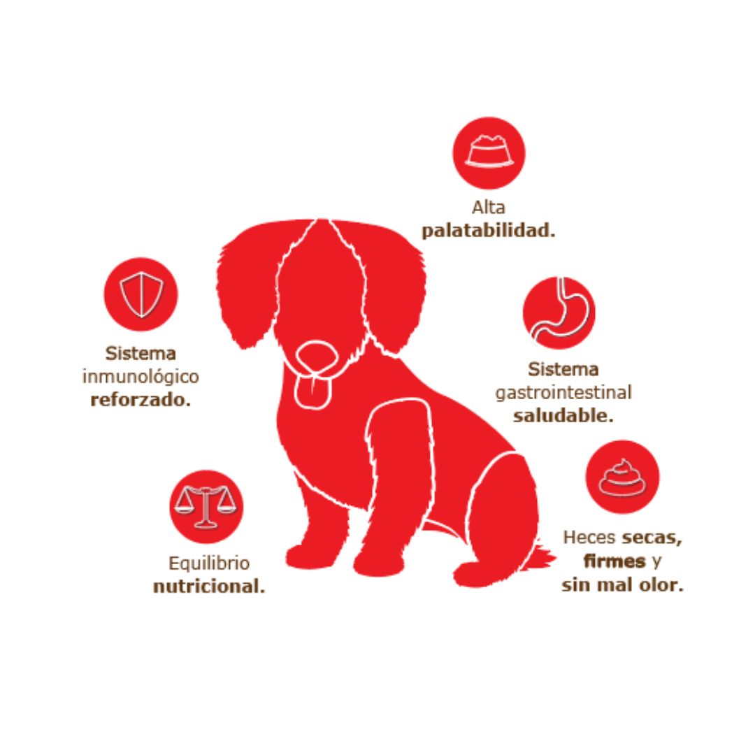 Vitacan Fortis Razas Pequeñas Adulto 5Kg – CroquetasVitacán