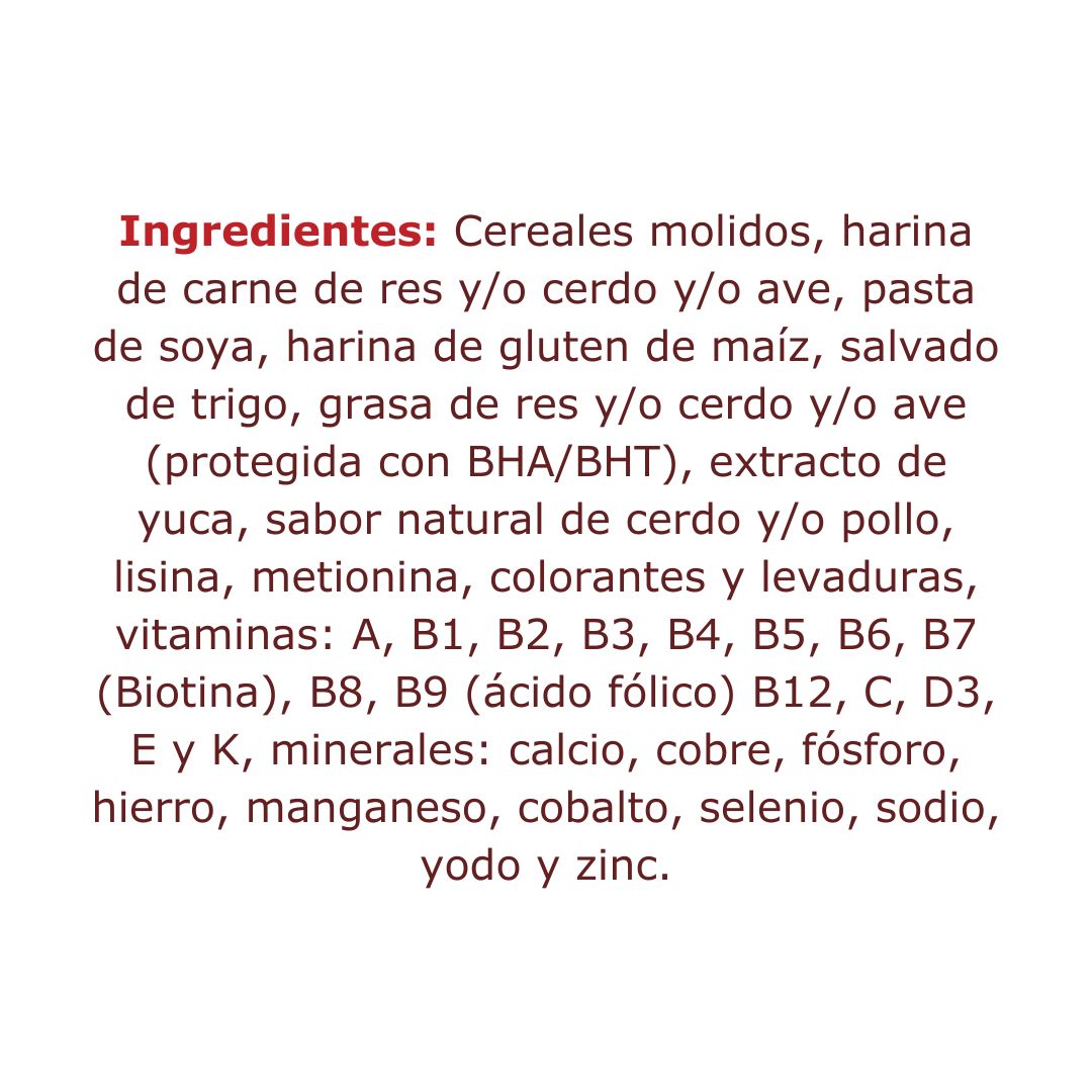 Vitacan Fortis Razas Pequeñas Adulto 5Kg – CroquetasVitacán